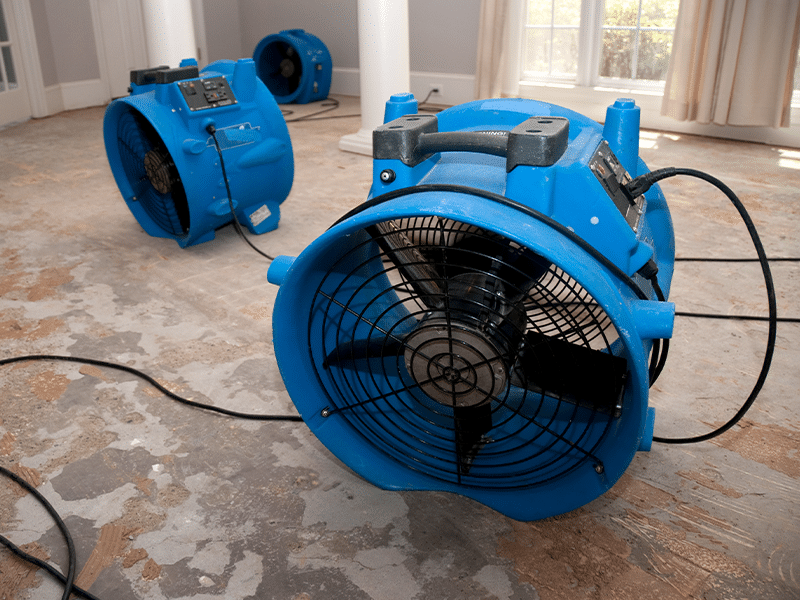 Flood Cleanup & Restoration Services Near Me | 24/7