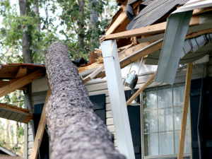 Types of Storm Damage and How to Recover - 24 Hour Flood Pros