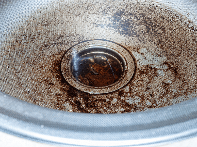 Drain Snaking & Cleaning Services by Experts