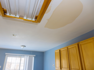Identifying Ceiling Water Damage: 5 Tell-Tale Signs That You Need A ...