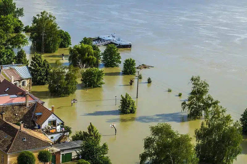 Common Emergency Restoration Needs in the Summer - 24 Hour Flood Pros